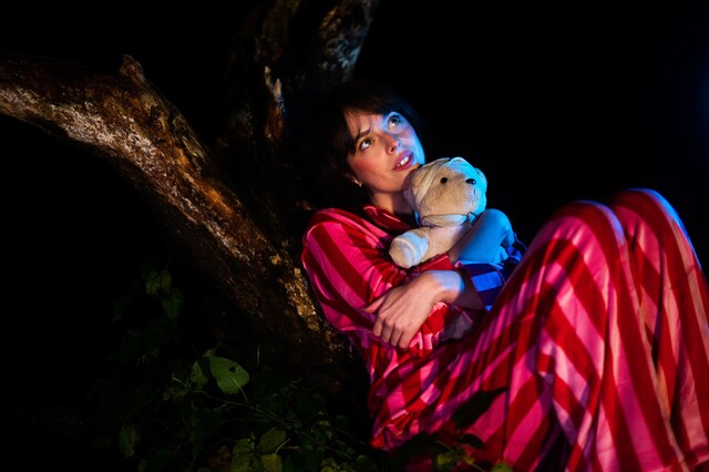 Plu and the Dream Tree | TEAM Collective Cymru